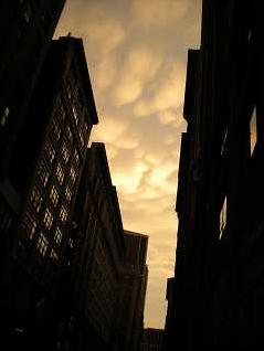 日記: NYWalker｜M2J｜森崇のニューヨークレポート